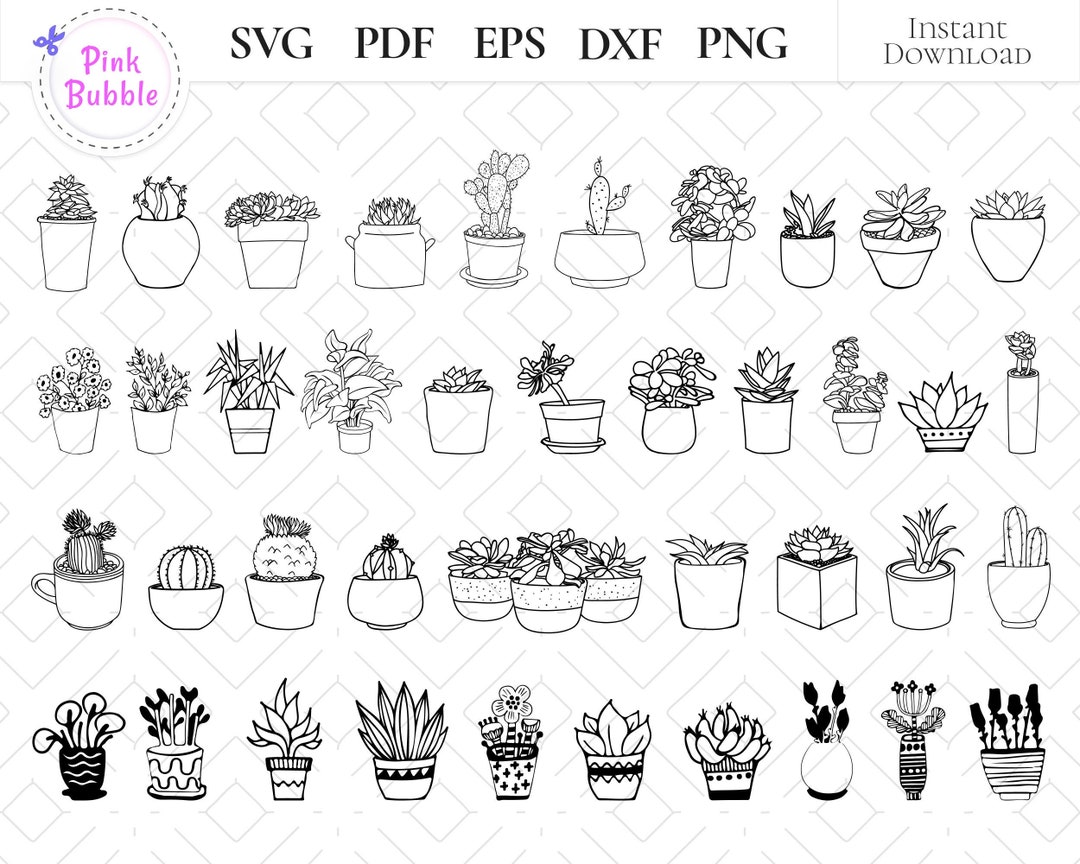 Succulent Svg Potted Succulent SVG Cactus Svg Cactus Pots - Etsy
