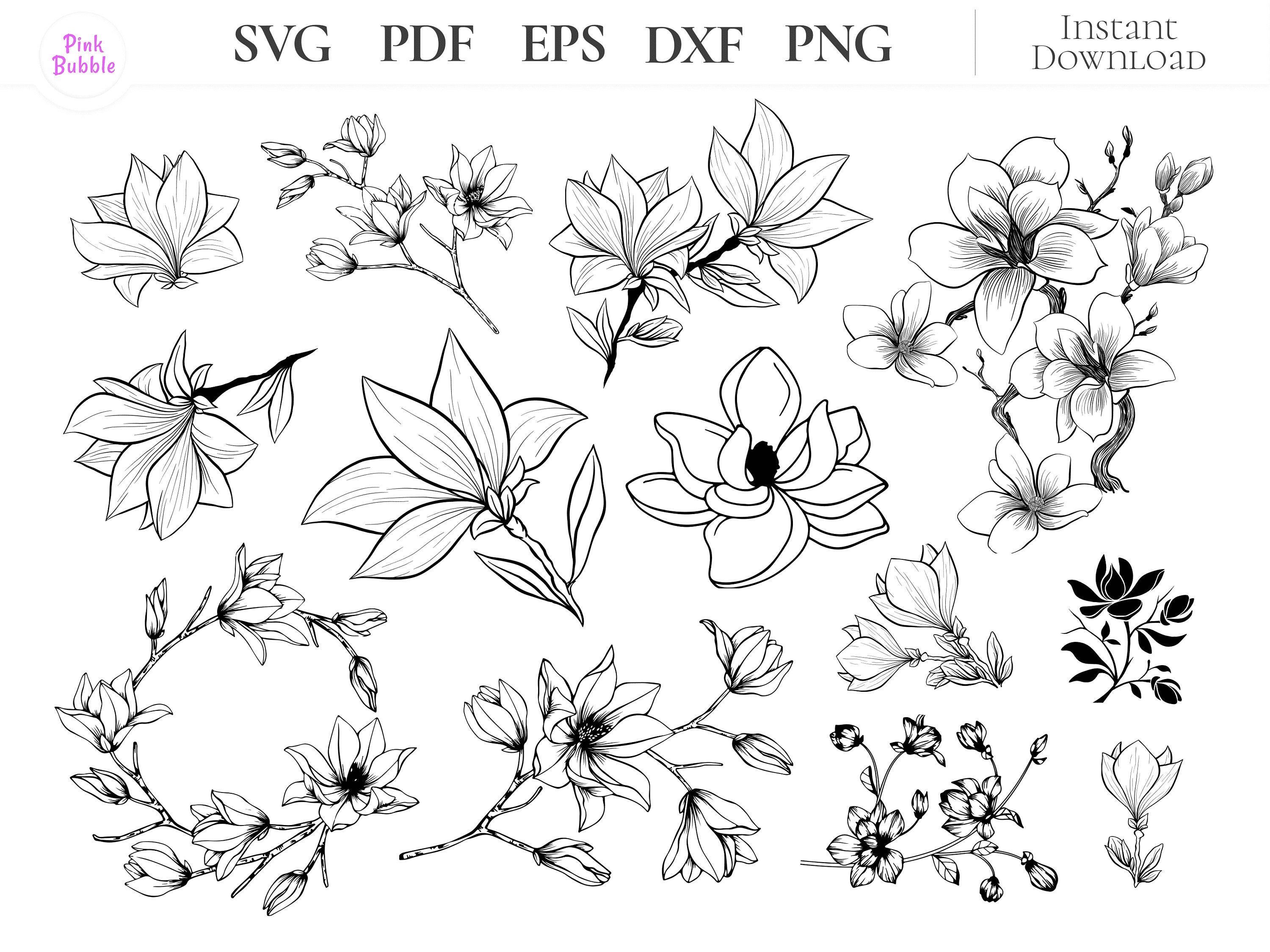 Magnolia SVG, Magnolia Flower Svg, Hand Drawn Magnolia Svg, Magnolia ...
