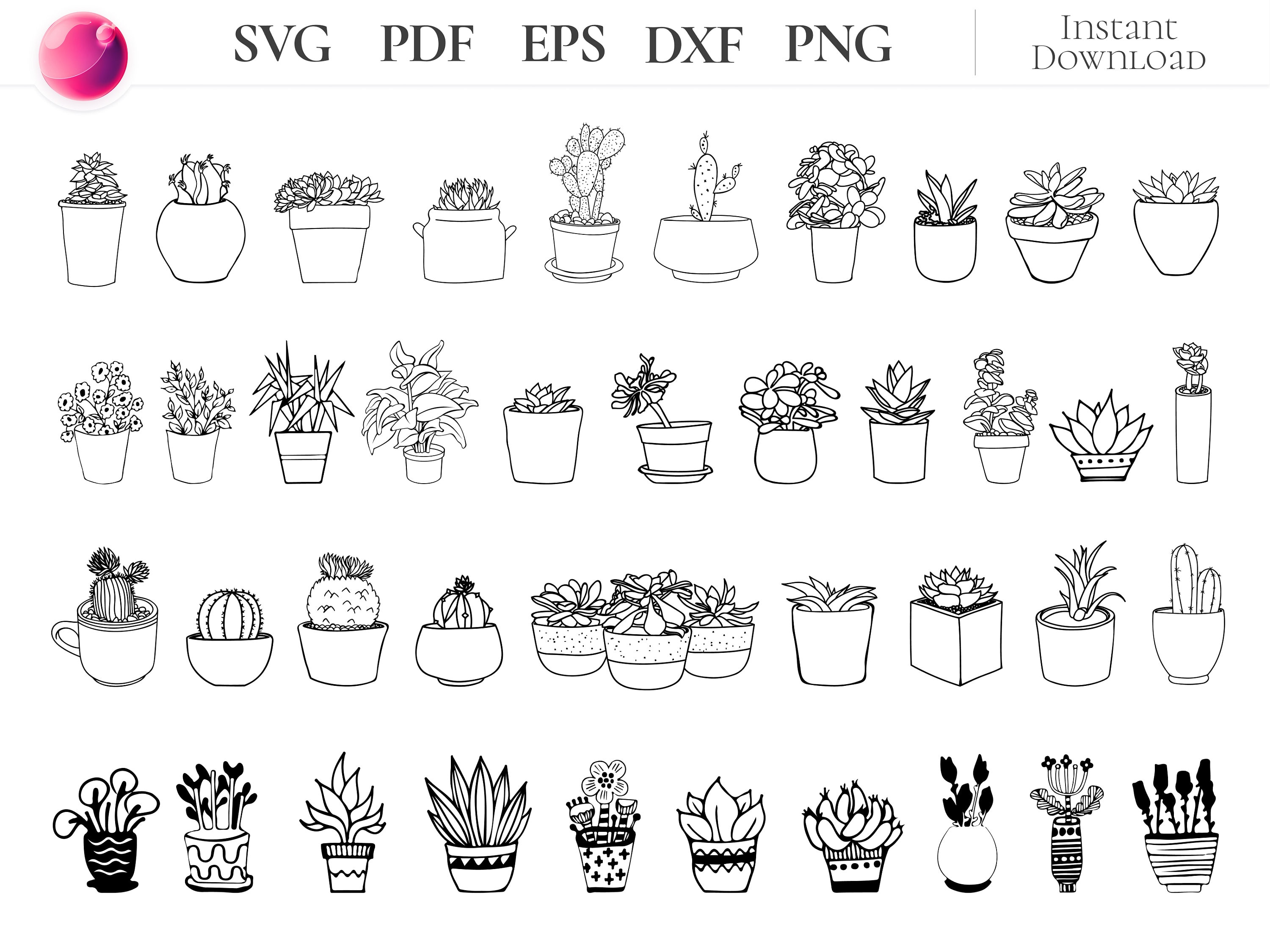 Succulent Svg, Potted Succulent SVG, Cactus Svg, Cactus Pots Svg ...