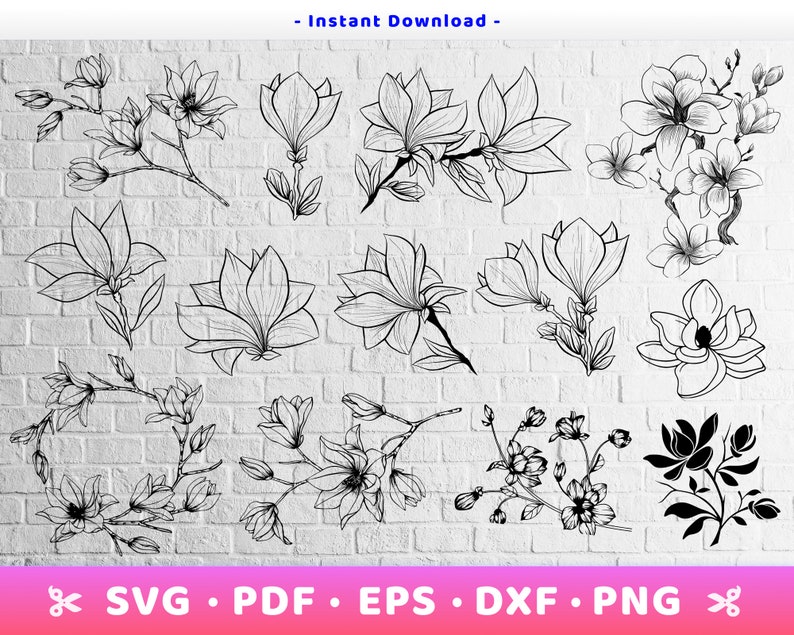 Magnolia SVG Flower Svg Magnolia Cut File Magnolia Clipart | Etsy