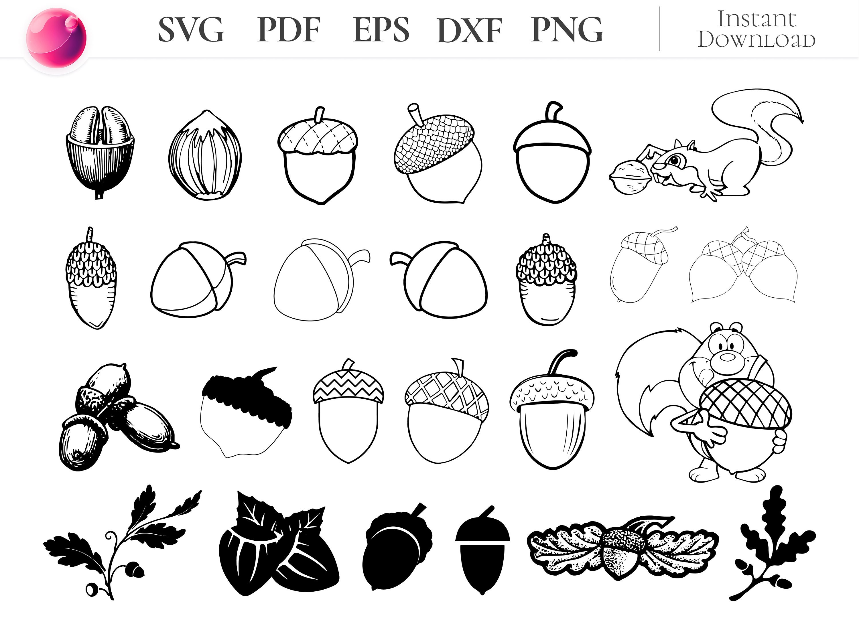 Acorn SVG Clipart Bundle: Oak, Squirrel Cut Files (digital Download) - Etsy