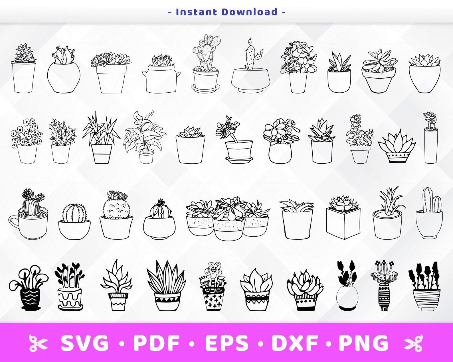 Succulent Svg Potted Succulent SVG Cactus Svg Cactus Pots - Etsy