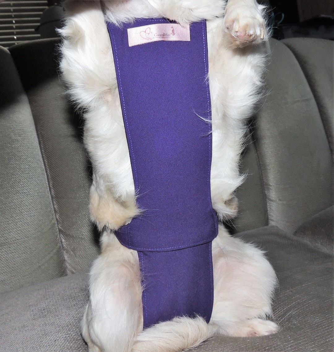Guardher HYBRID - Washable Dog Diaper Vest Fitted Removable - Premium ...