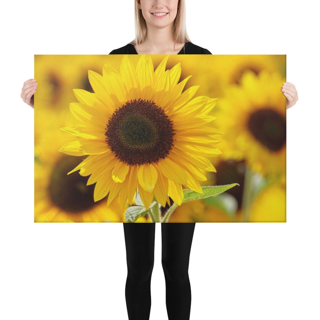 SUNFLOWER CANVAS PHOTOGRAPH - Sunflower Field Canvas Wall Hanging ...