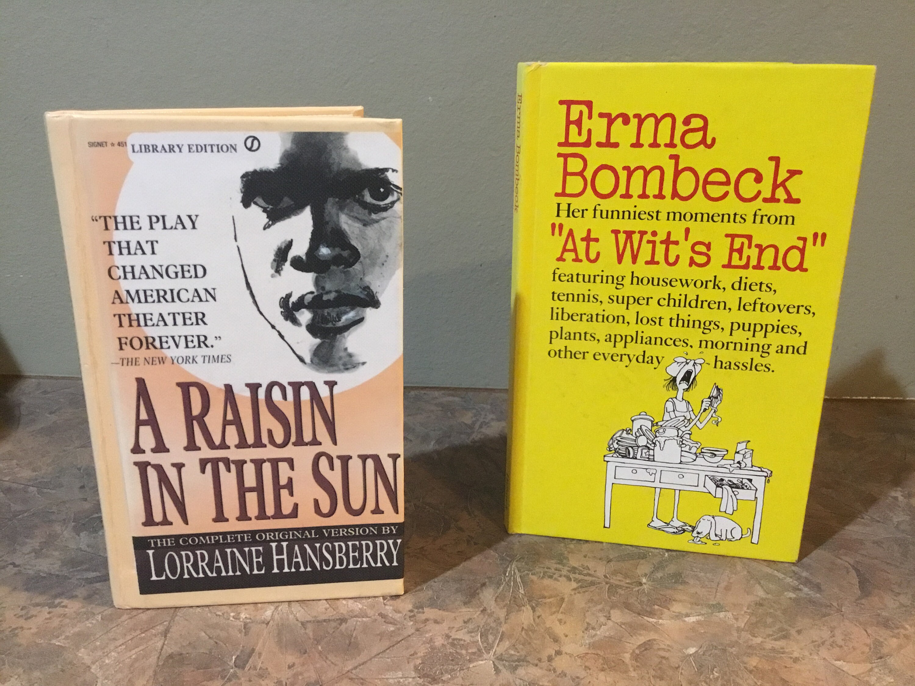 A Raisin In The Sun Book Lorraine Hansberry