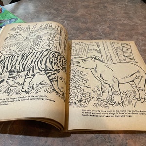 Underdog Coloring Book by Whitman 1972, Peanuts Schulz Peanuts Coloring ...