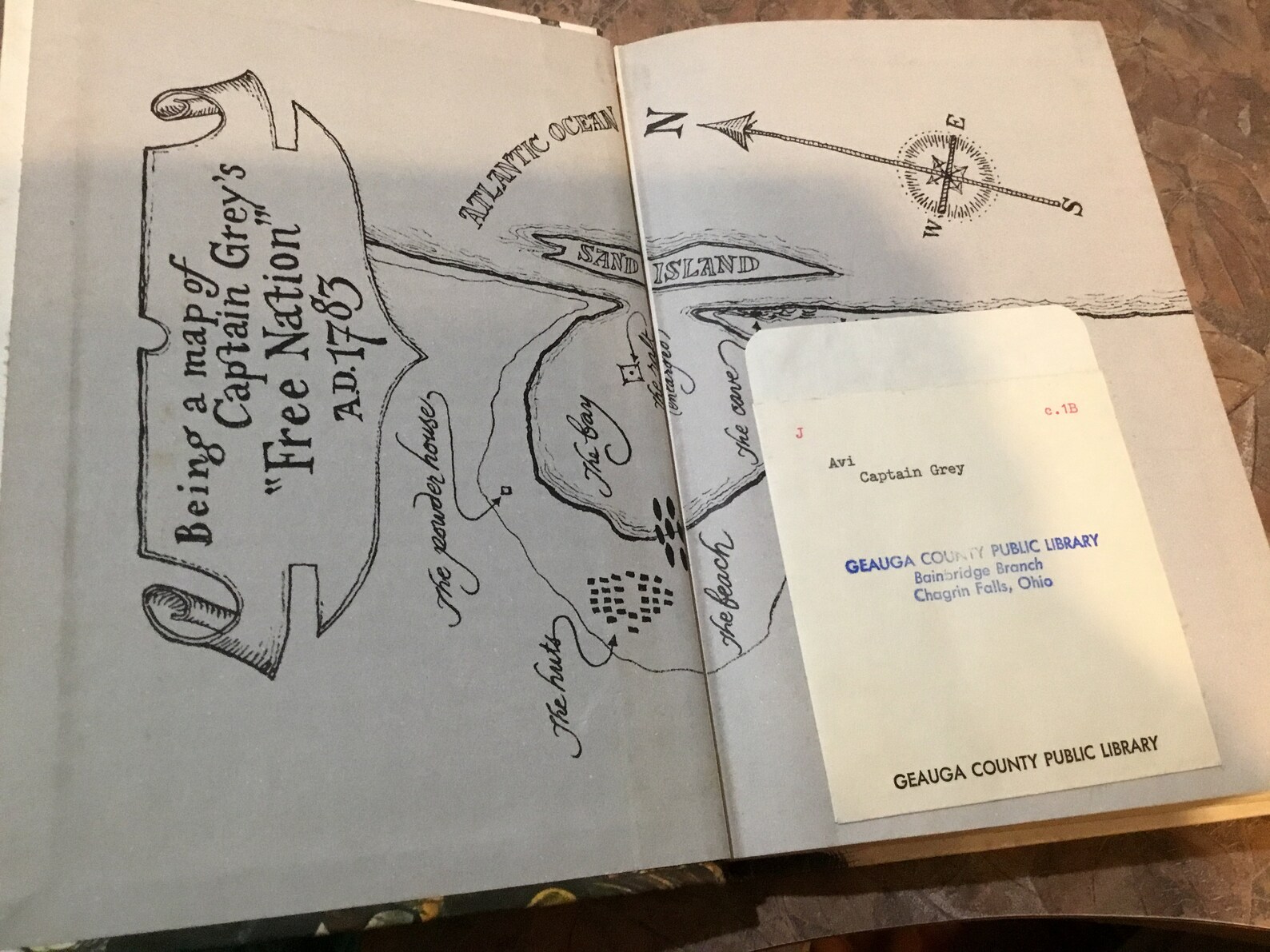 Vintage Children’s Books Captain Grey by Avi 1977 Edition, Best in ...
