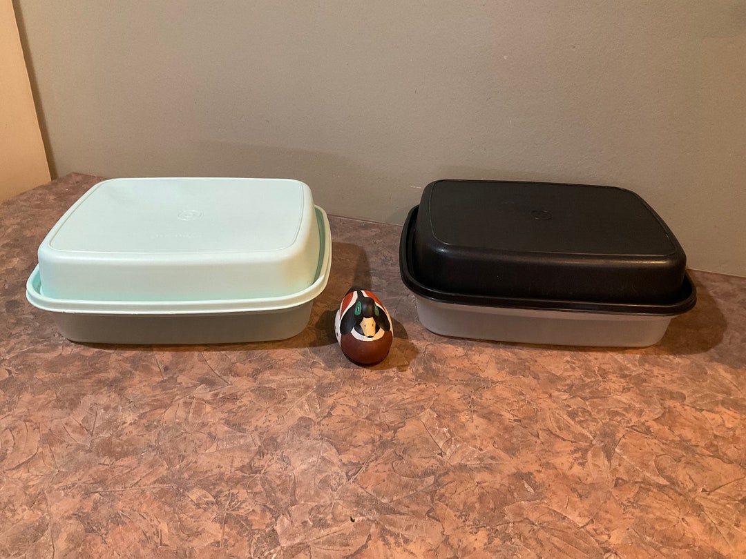 TUPPERWARE Mint Large Marinade Season Serve Storage Container 1294-1 ...