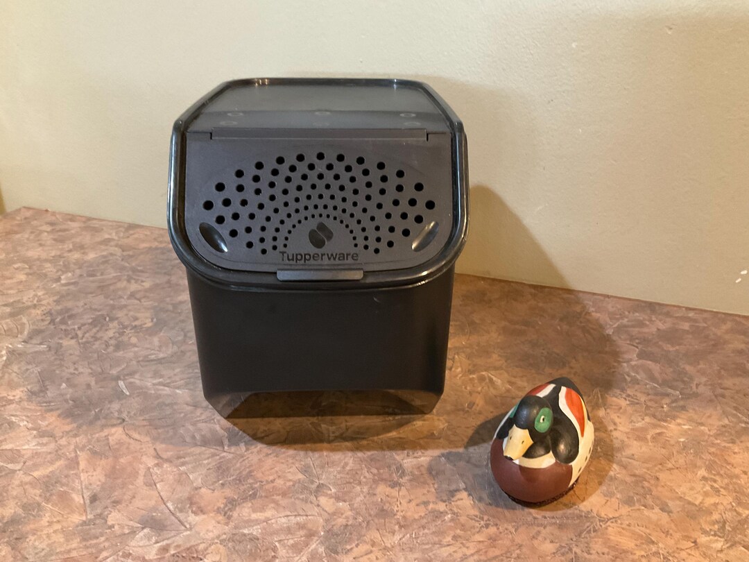 Tupperware Potato Smart Container Black, 5.5 L, Storage Container - Etsy