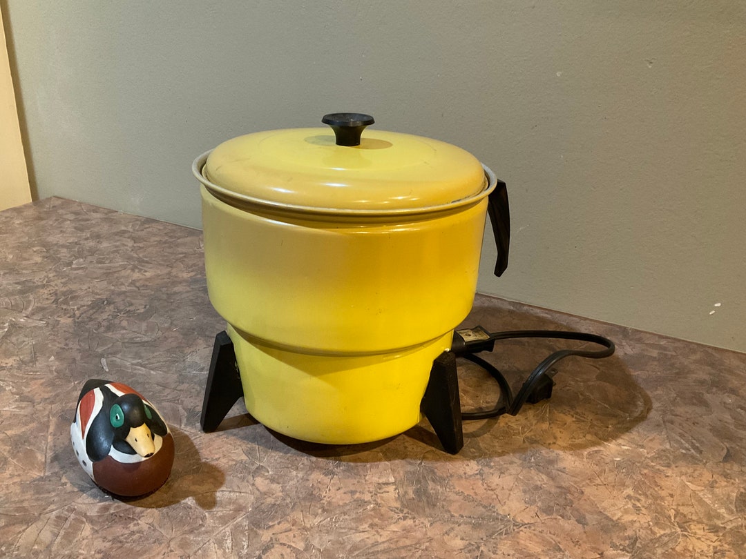 Mirro Electric Cooking Pot Perfect for Fondu or Dinner Meals, Cooking ...
