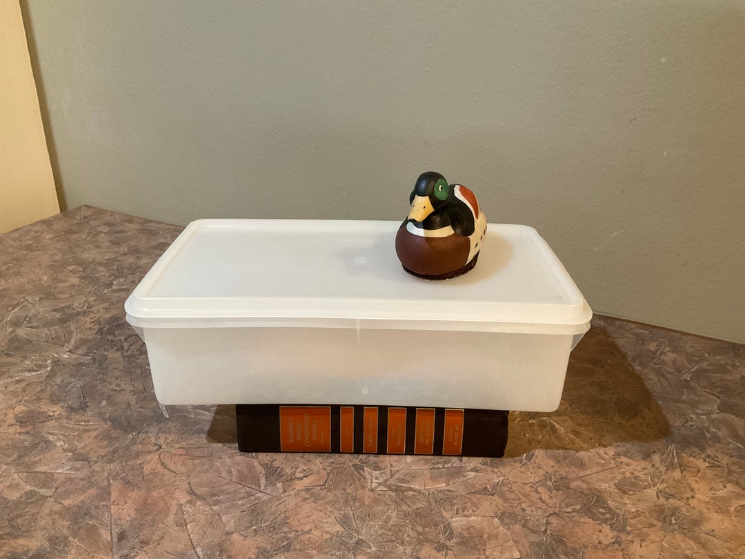 Tupperware Cracker Keeper Container #677-2 and Lid #678-3, Clear ...