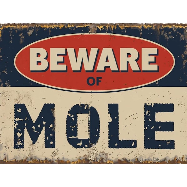 Mole Day Posters - Etsy