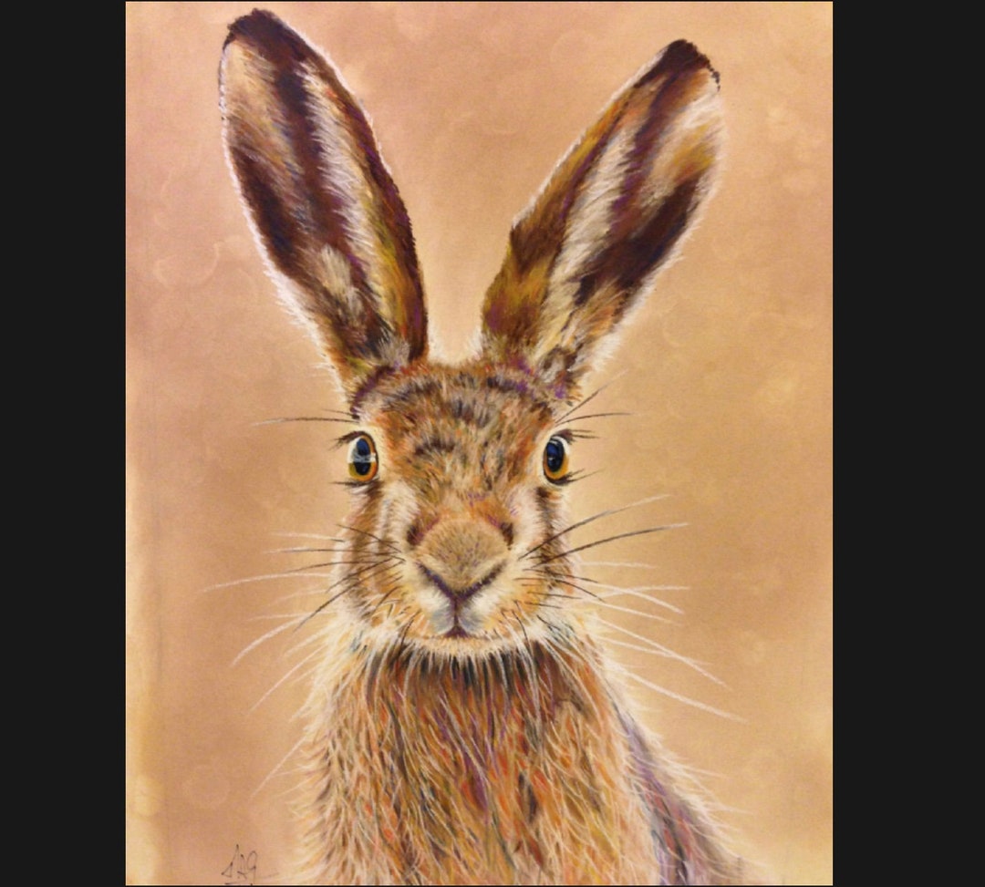 Vintage Hare Sign, Hare Sign. Retro Wall Sign, Wall Art, Retro Wall Art ...