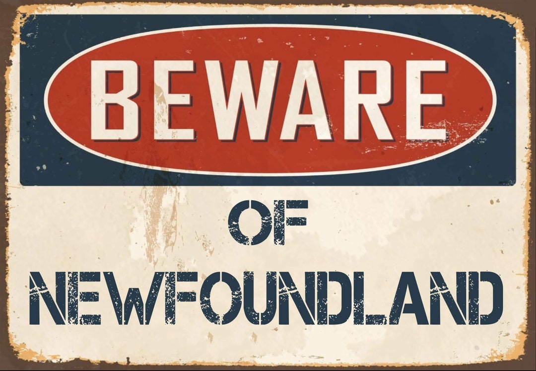 Beware of Newfoundland Sign Newfoundland Sign Newfoundland - Etsy