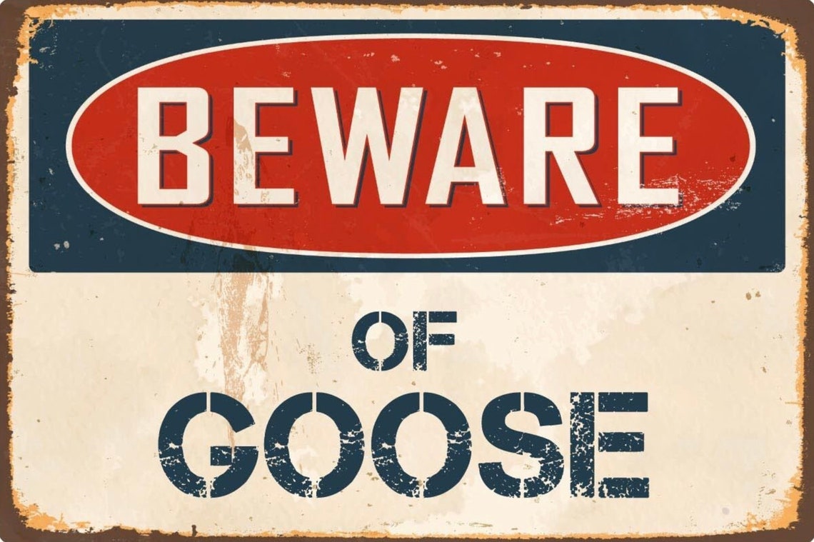 Beware of Goose Metal Sign, Goose Sign, Goose Plaque - Etsy