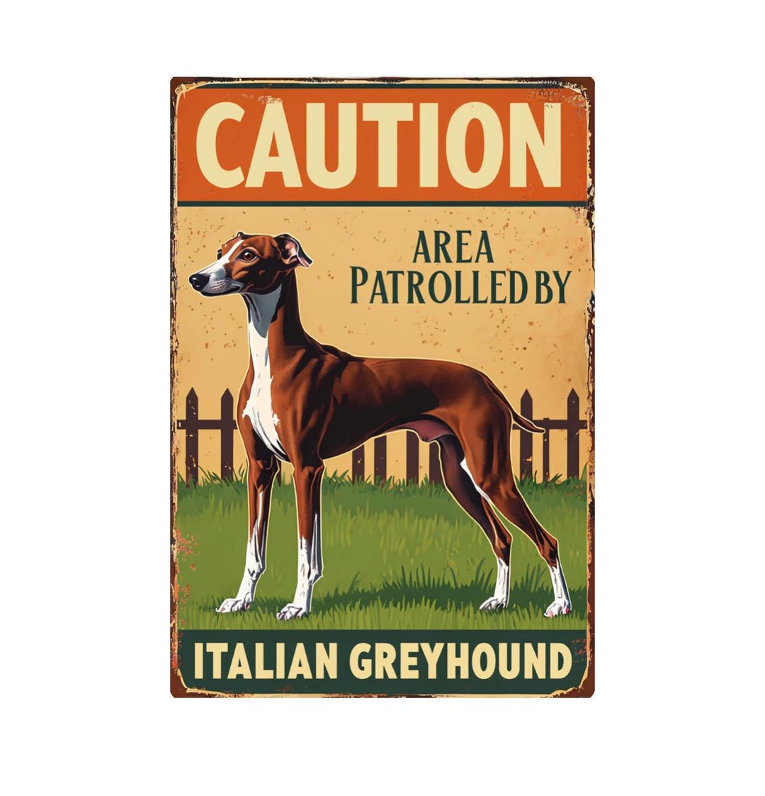 Caution Italian Greyhound Sign, Italian Greyhound Sign, Italian ...