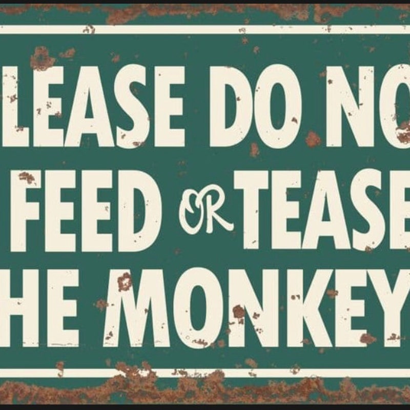 Do Not Feed Sign - Etsy