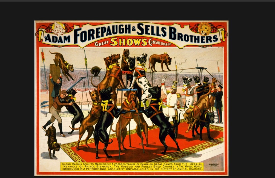 Metal Dog Show Sign Plaque, Great Dane Dog Plaque, Dog Sign. Retro Wall ...