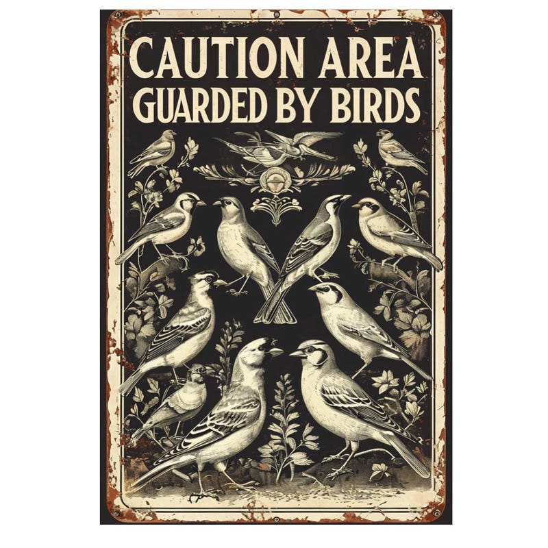 Beware of Bird Signs - Etsy UK