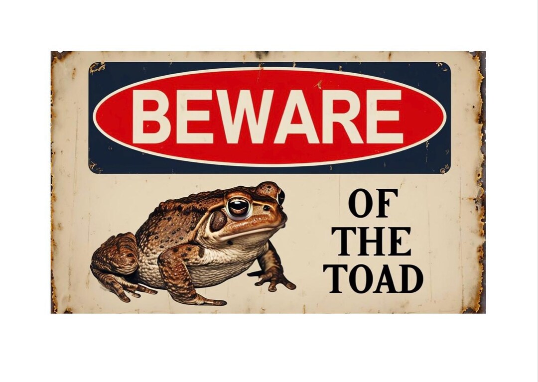 Beware of the Toad Metal Sign, Toad Sign, Toad Plaque - Etsy