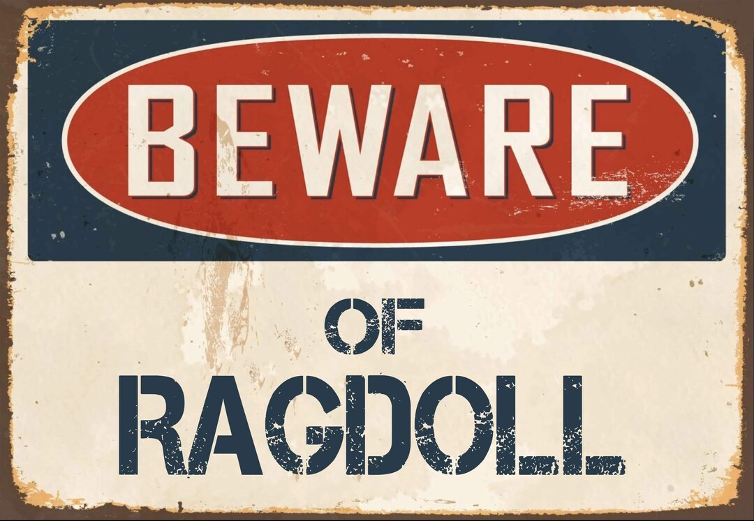 Beware of Ragdoll Metal Sign Ragdoll Sign Cat Plaque - Etsy