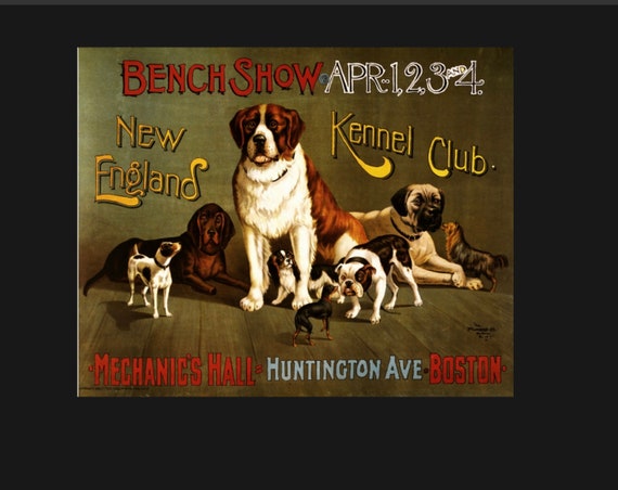 Metal Dog Show Sign Plaque Kennel Club Dog Plaque Dog Sign. | Etsy