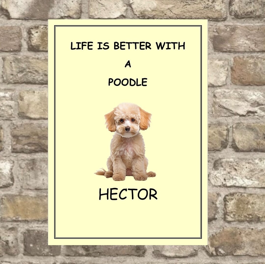 Personalised Poodle Sign, Poodle Metal Sign, Poodle Plaque, Poodle - Etsy
