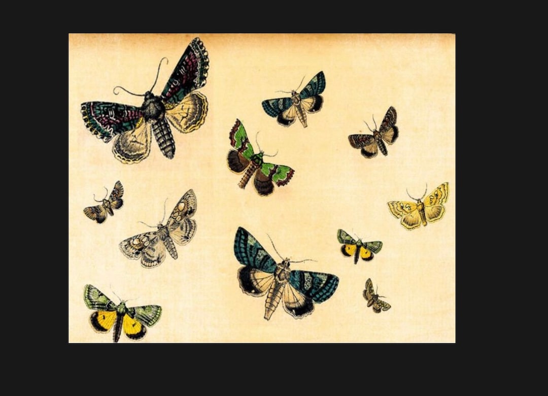 Vintage Moths Sign, Moths Sign. Retro Wall Sign, Wall Art, Retro Wall ...