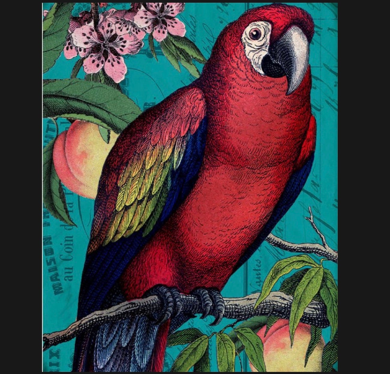 Vintage Red Parrot Sign Parrot Sign. Retro Wall Sign Wall - Etsy Sweden