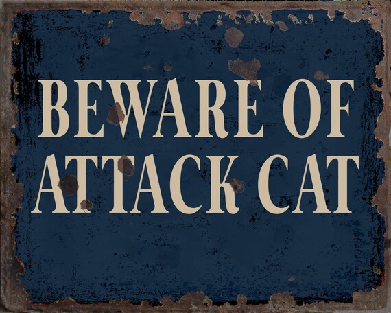 Vintage Beware of Attack Cat Metal Sign Fitting Beware of | Etsy UK