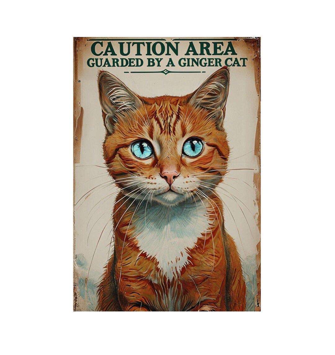 Caution Area Guarded by A Ginger Cat Metal Sign, Ginger Cat Plaque ...