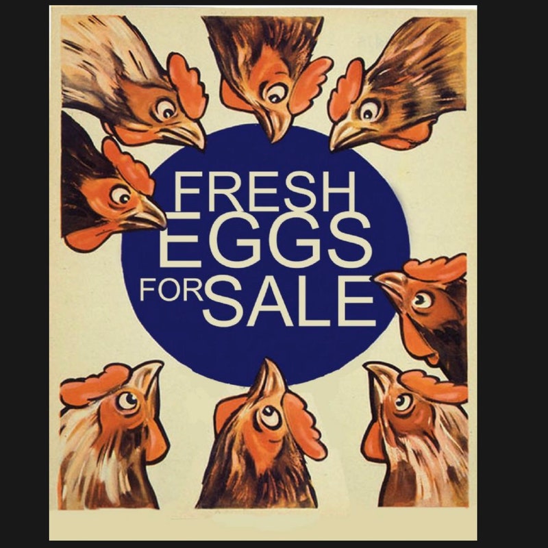 Eggs for Sale Sign - Etsy