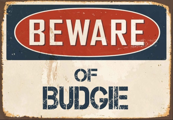 Beware of Budgie Metal Sign Budgie Sign Budgie Plaque | Etsy