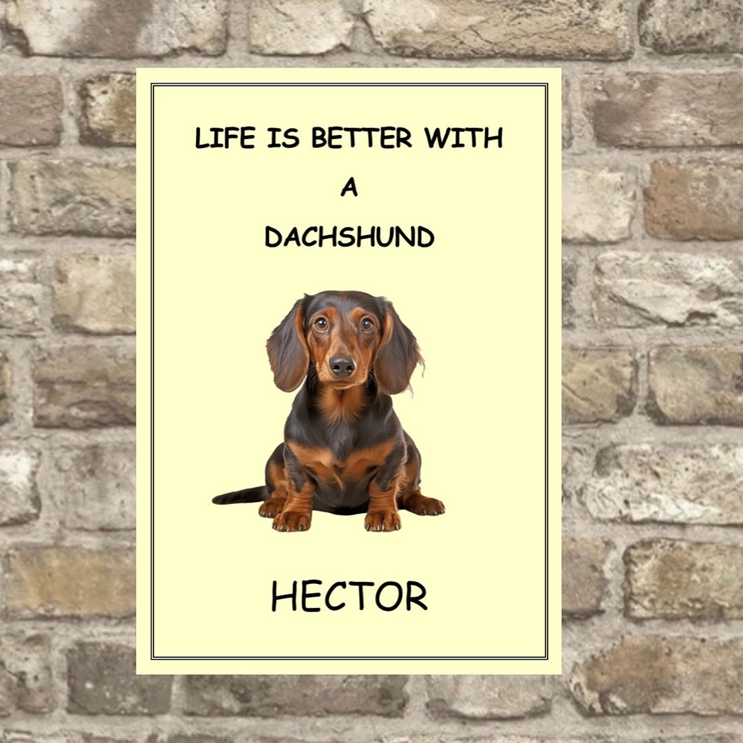 Personalised Dachshund Sign, Dachshund Sign, Dachshund Plaque ...
