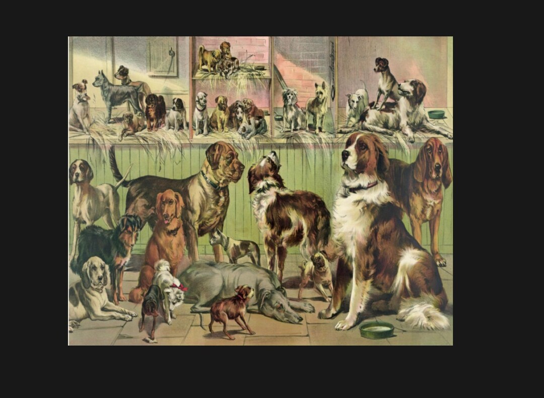 Metal Dog Show Sign Plaque, Kennel Club Dog Plaque, Dog Sign. Retro ...