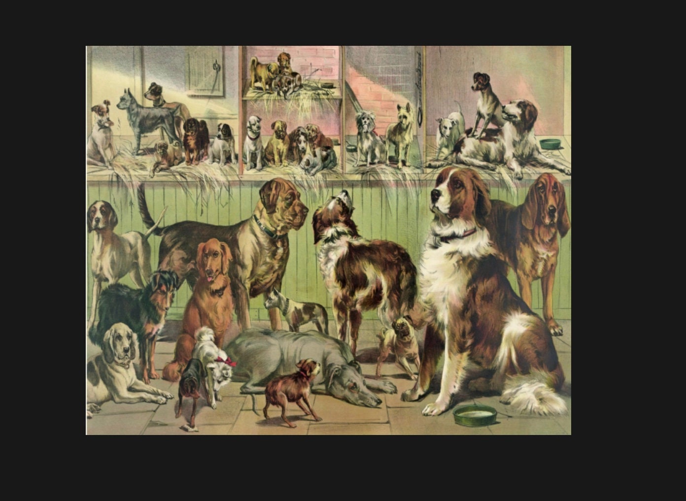 Metal Dog Show Sign Plaque Kennel Club dog plaque dog sign. | Etsy