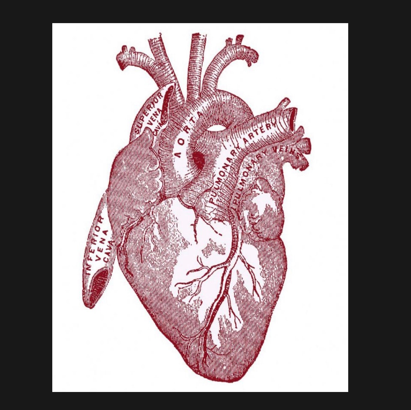 Vintage Anatomy Heart Sign Anatomy Sign. Retro Wall Sign | Etsy