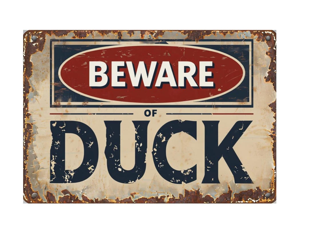 Beware of Duck Sign, Duck Sign, Duck Plaque - Etsy