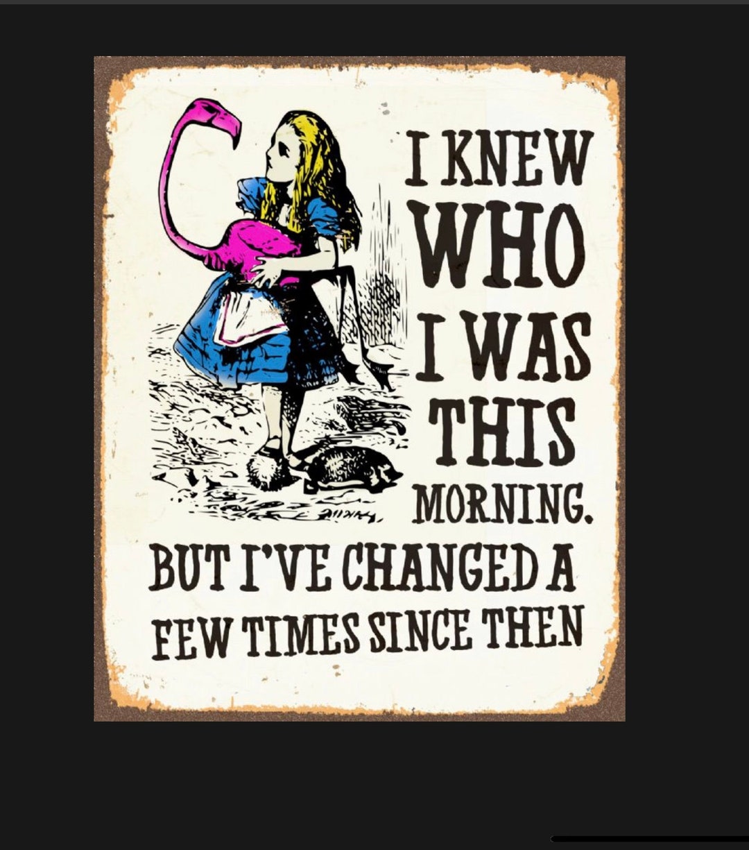 Vintage Alice in Wonderland I Knew Who I Was This Morning Print, Alice ...