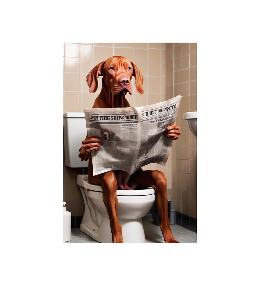 Vizsla on the Toilet Metal Sign, Vizsla Plaque, Vizsla Sign - Etsy