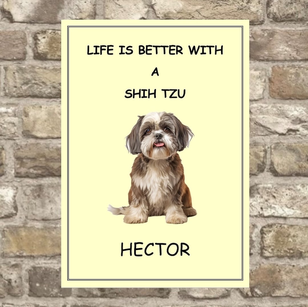 Personalised Shih Tzu Sign, Shih Tzu Sign, Shih Tzu Plaque, Shih Tzu - Etsy