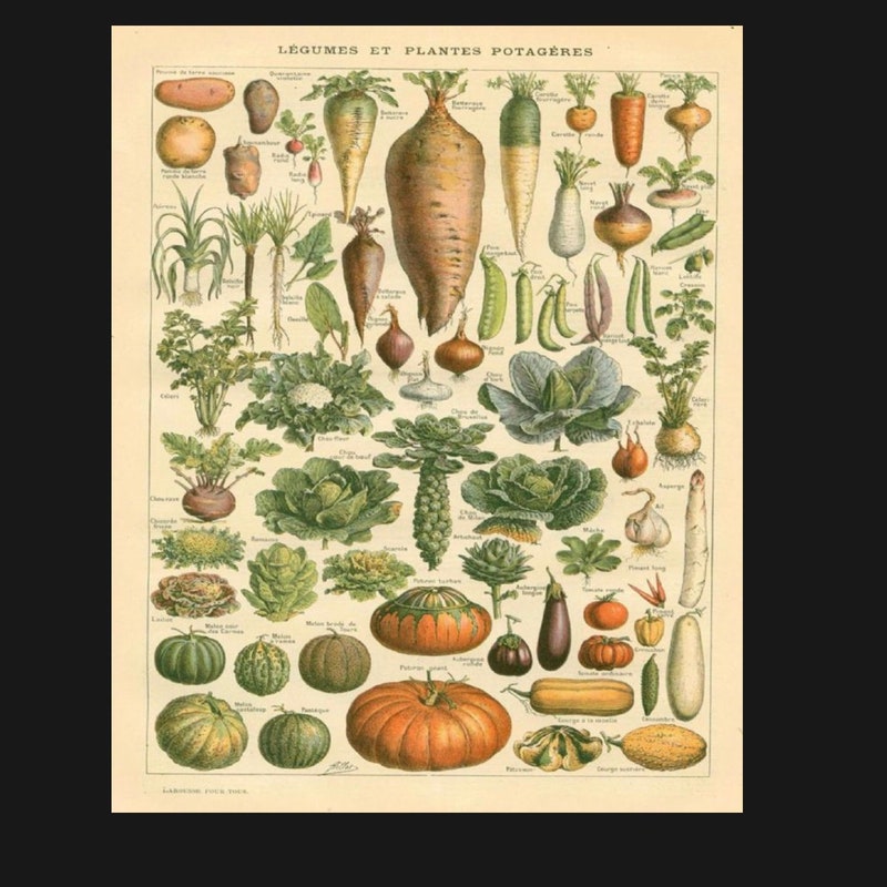 Kitchen Signs - Etsy