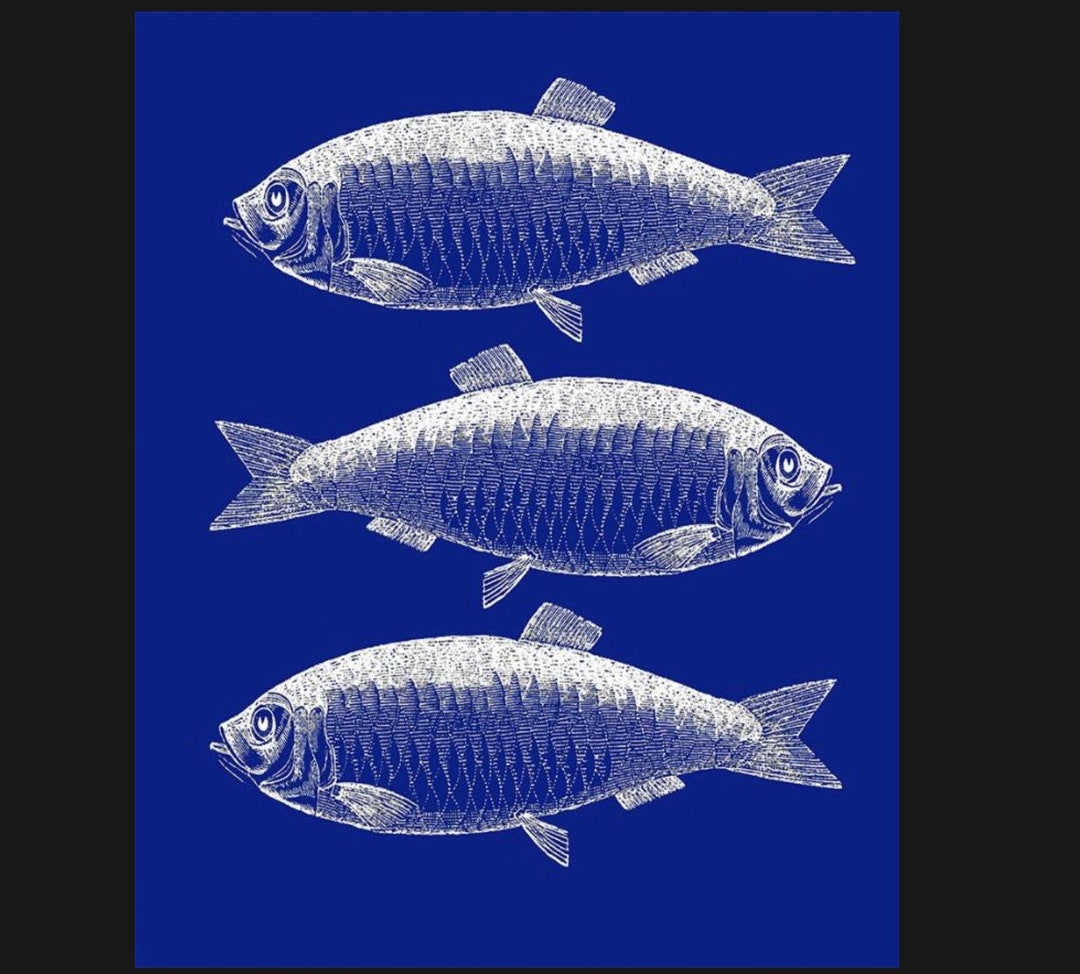 Vintage Blue Fish Print, Marine Print, Fish Print, Nature Print - Etsy