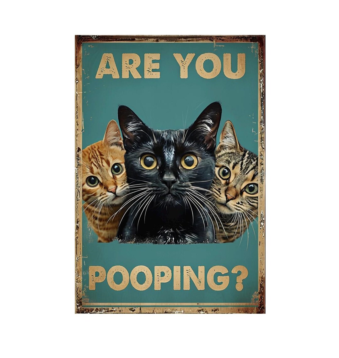 Cats Are You Pooping Metal Sign, Cats Plaque, Cats Sign - Etsy