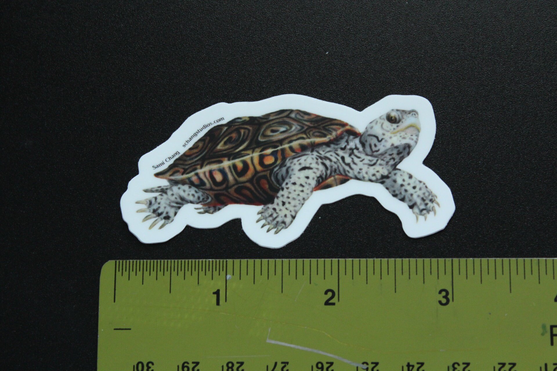 Diamondback Terrapin Sticker - Etsy