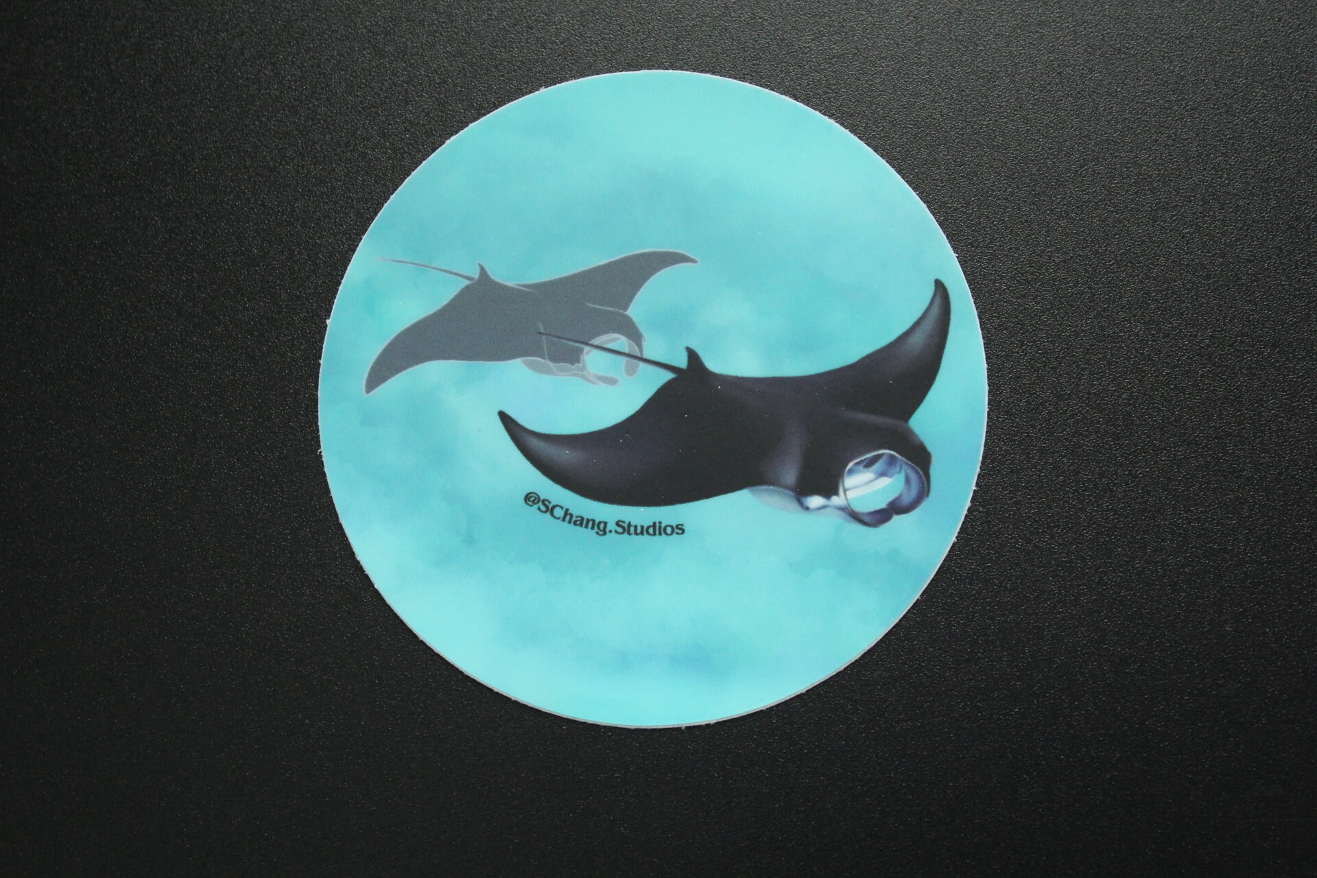 Manta Ray Sticker - Etsy