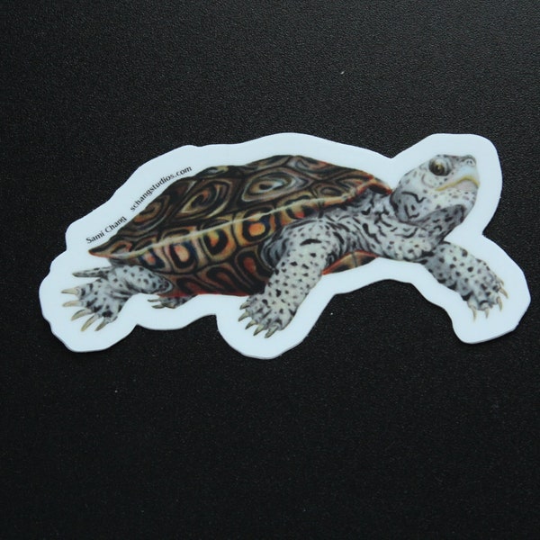 Terrapin - Etsy