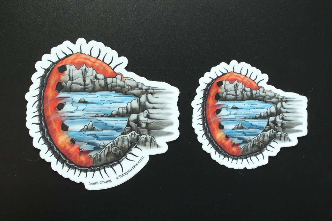 Abalone Tides Sticker - Etsy