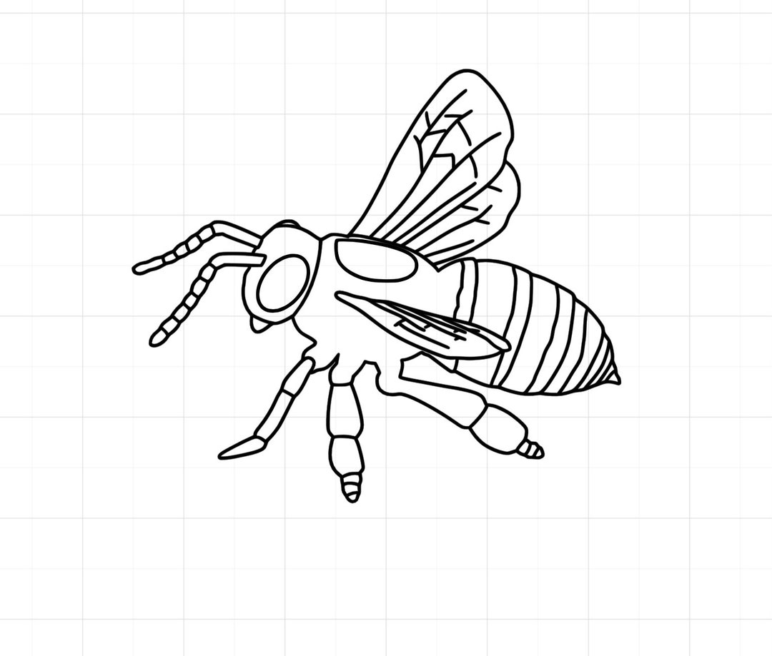Bee Svg - Etsy