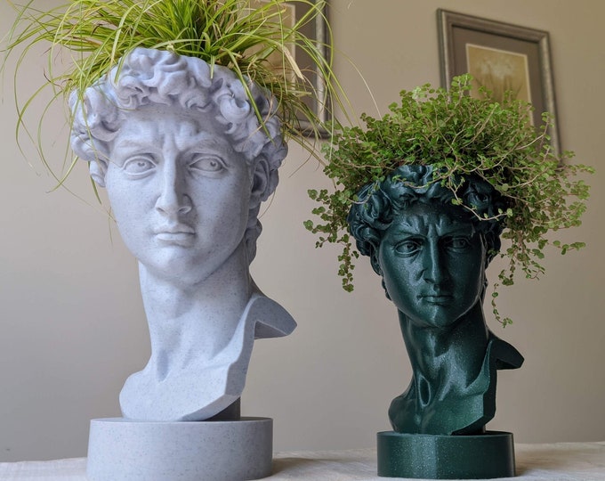 David Bust Planter Pot for Plants Greek Heroic Male David's Head ...